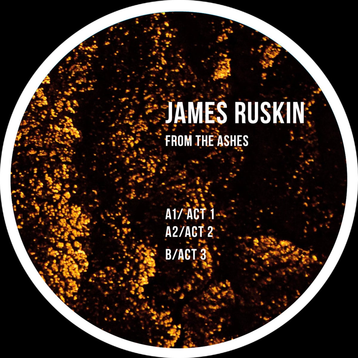 James Ruskin: From The Ashes (Token Records)