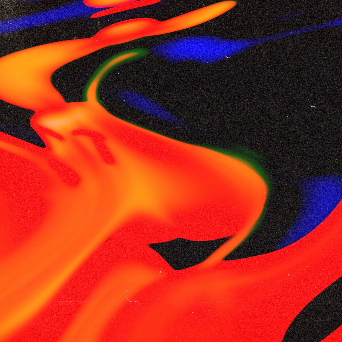 Roll Dann: Livro de Fam í lia (Hayes)