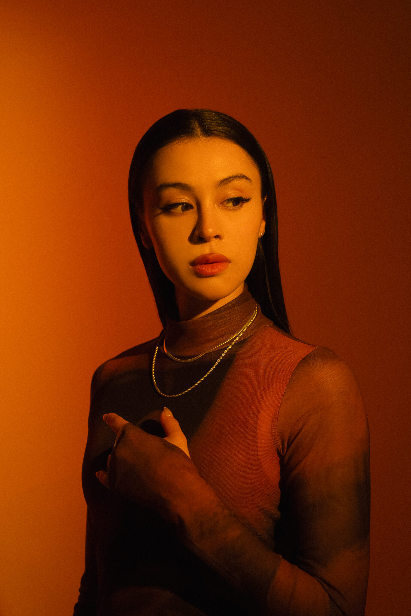 SHIMA: Welcome to SHIMAJIMA (Young Art Records)